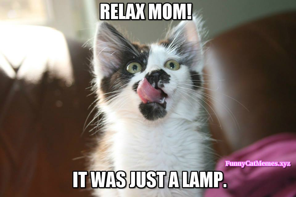 Just-a-lamp-Funny-Cat-Memes | We Love Cats Forever
